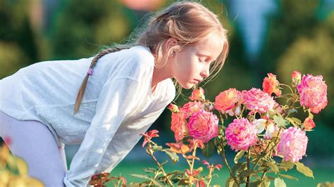 Самая красивая мелодия в мире Эту музыку можно слушать вечно музыка Сергей Чекалин 3 Youtube