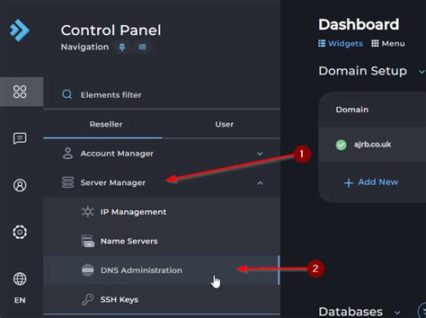 Zarro Technology How To Addedit A Dns Record On Directadmin