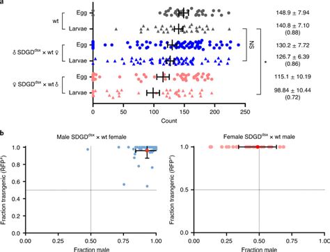 A Male Biased Sex Distorter Gene Drive For The Human Malaria Vector