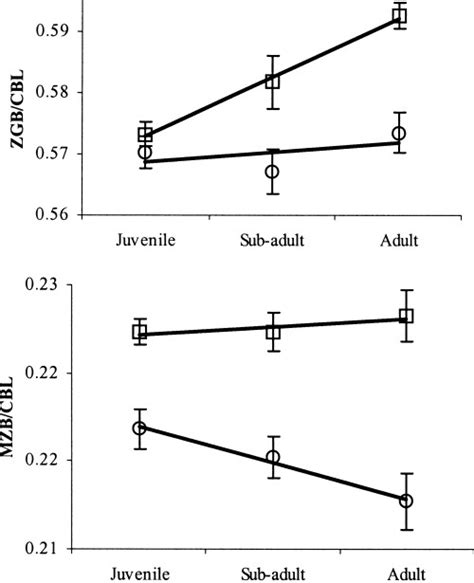 The Sex Difference In Both ZGB Top And MZB Bottom Relative To CBL Download Scientific