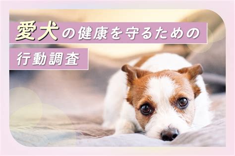 【狂犬病ワクチン接種率は約86に留まる】 愛犬の健康を守るための行動調査 ペット保険のアイペット損保