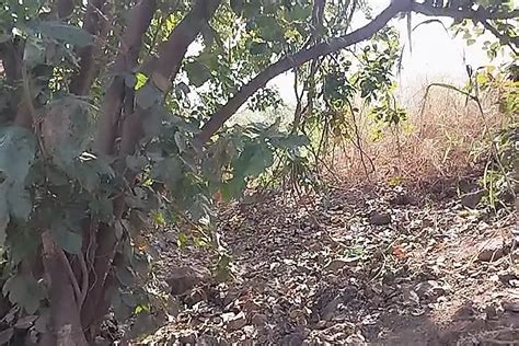 Jungle Mein Jakar Sex Kiya Desi Ladka Free Gay Porn F XHamster
