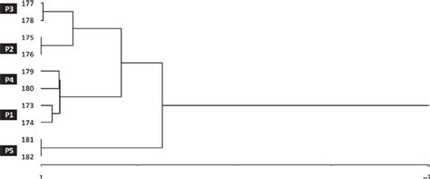 Similarity Dendrogram From Denaturing Gradient Gel Electrophoresis