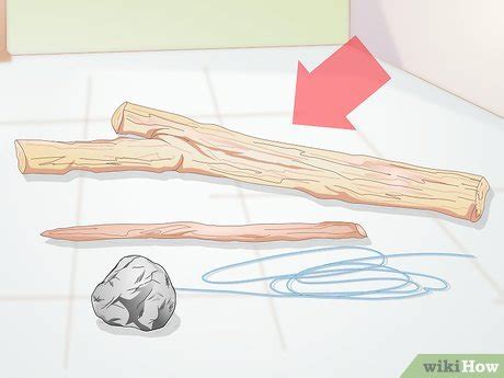 How To Make A Bird Trap With Pictures WikiHow