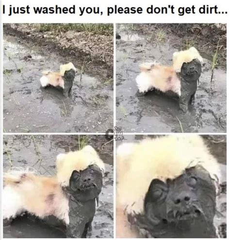 Damn It R Heckthisiswholesome