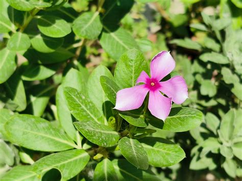 Infinix Gt Pro Review Pros And Cons Verdict