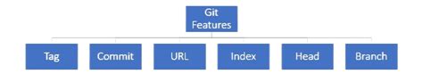learn git and github article 1 egrasps