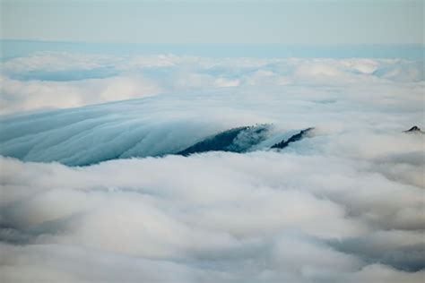 봄바람과 함께하는 5월 산책로 추천 자연과 함께하는 힐링 여행