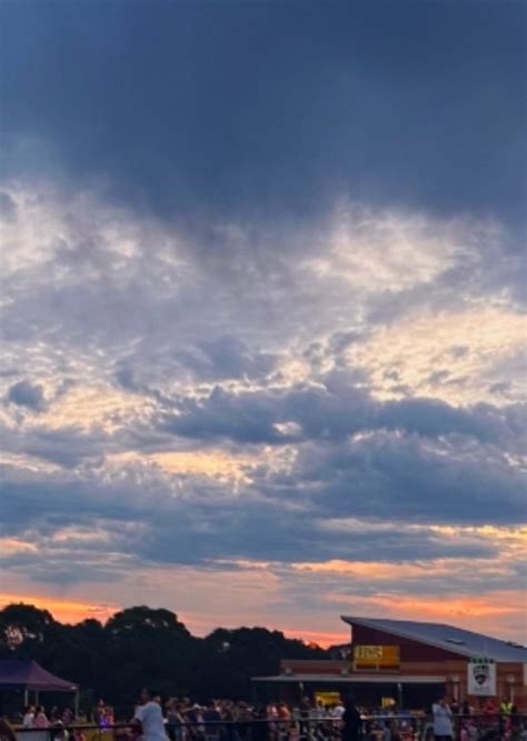 Fan Casting Bert Cobra Kai As Cobra Kai In Fictional Characters On Mycast