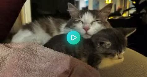 Is There Truly No Way To Disable Ios Making These Improvements” To My Photos Riphone