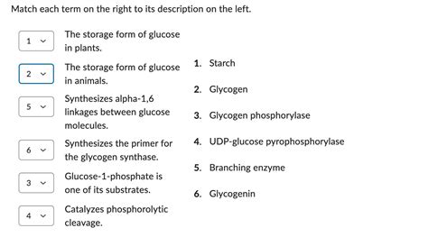 Solved Match Each Term On The Right To Its Description On