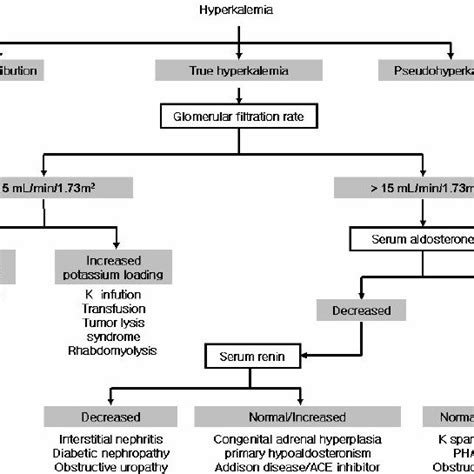 Differential Diagnosis Of Hyperkalemia Is Shown [15] Hyperkalemia Is Download Scientific