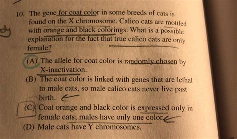 Can T We Speak Of Codominance For Sex Linked Traits I Though That