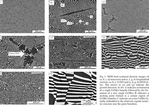 Figure 1 From Microstructure And Room Temperature Compressive