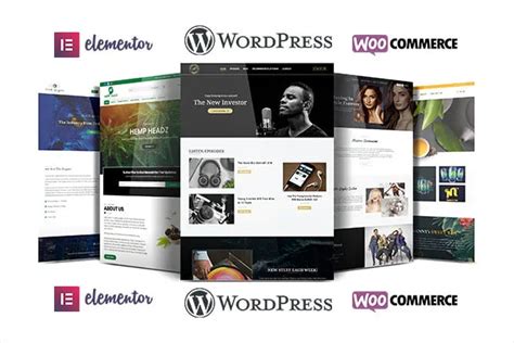 build modern and responsive wordpress website design arsal services