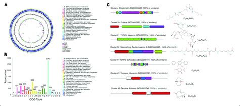 Genome Annotation Of S Malaysiensis 8zjf 21 And Bgc Prediction A Download Scientific