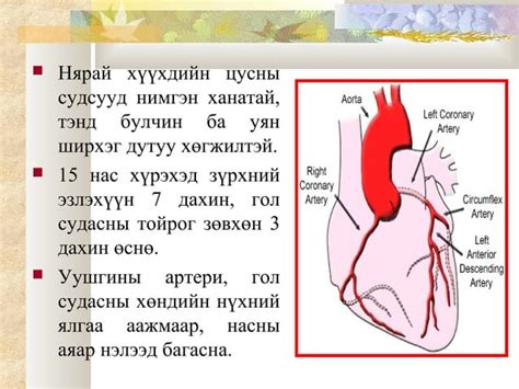 зүрх судас цусны онцлог Ppt