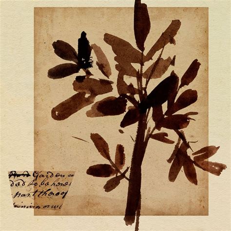 Somerset House Images Last Memory I