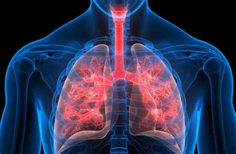 Sëmundjet E Mushkërive Problemet Që Shfaqen Doktori Juaj