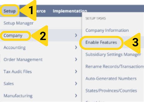 netsuite initial setup