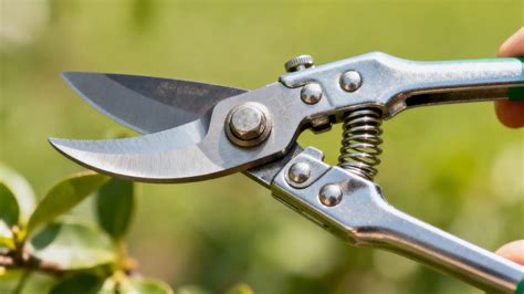 Choosing The Right Pruning Shears For Wholesale Buyers Scarecrow Garden Supplier