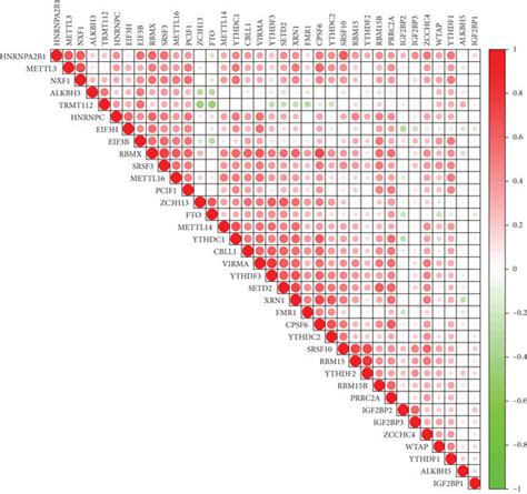 Interaction among m⁶A RNA methylation regulators and consensus