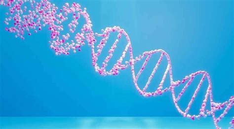 Understanding Enzymatic Dna Synthesis Hudsonfarmhouse