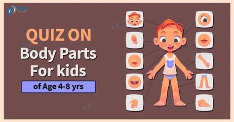 Quiz On Body Parts Artofit