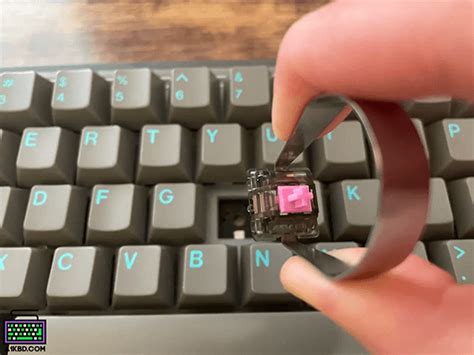 How To Lube Switches 2025 Best Guide