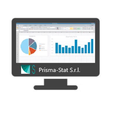 CORSO BASE DI EXCEL Prisma Stat S R L