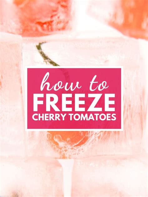 Can You Freeze Cherry Tomatoes Complete Guide 2024