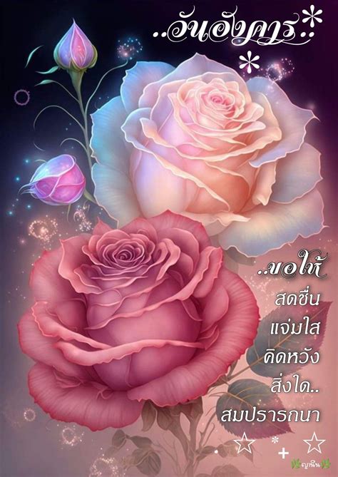 วันอังคาร🌿💞 ดอกไม้สีชมพู ดอกไม้ สวัสดีตอนเช้า