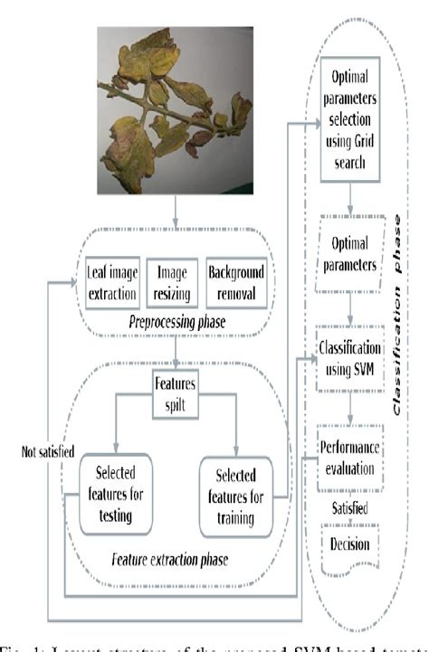 Figure 1 From Tomato Leaves Diseases Detection Approach Based On Support Vector Machines
