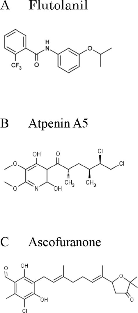 The Chemical Structure Of Inhibitors Of The Quinone Binding Site A