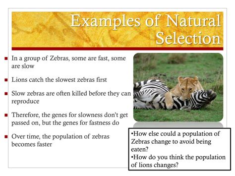 Ppt 22 Aug Powerpoint Presentation Free Download Id1612481
