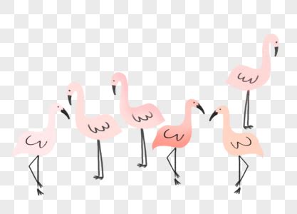 플라밍고 이미지 사진 401487012 무료 다운로드