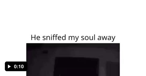 Sniff Sniff 9gag
