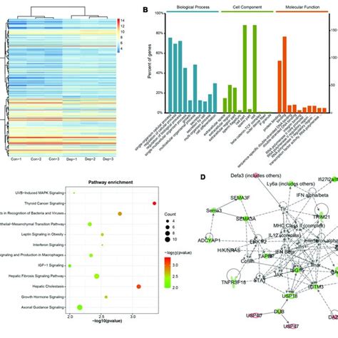 Identification And Functional Analysis Of Differentially Expressed Download Scientific