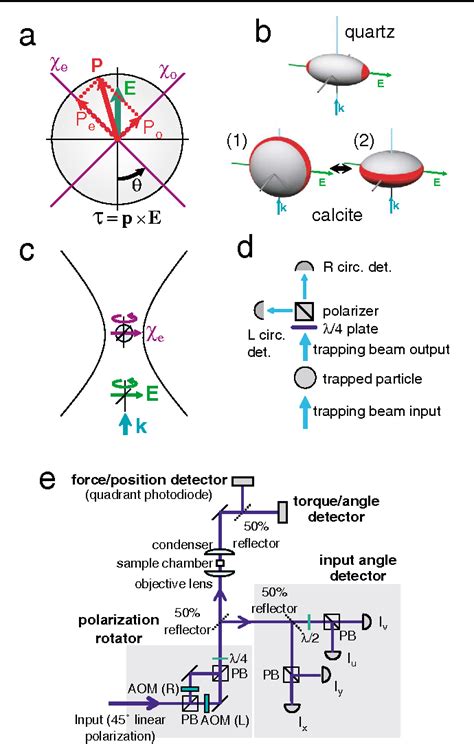 figure 1 from optical torque wrench angular trapping rotation and