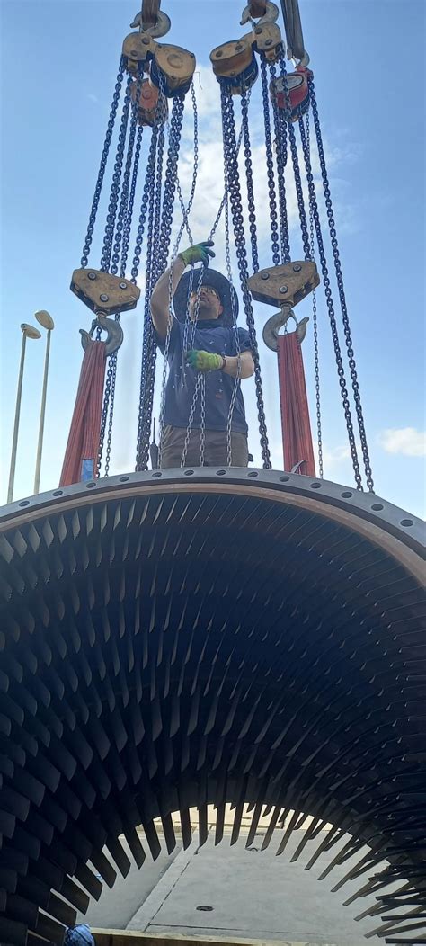 Sirvan Golestani On Linkedin Everyone Is Free And Successful According