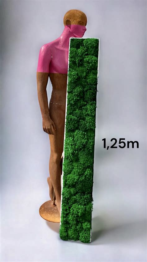 ᐉ Мох Grune Wald ягель стабілізований 100 г 3100 • Краща ціна в Києві Україні • Купити в Епіцентр