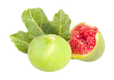Fig Png Transparent Background PNG Fig Png Transparent Background PNG