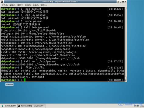 Linux 目录结构及文件基本操作 蓝桥云课