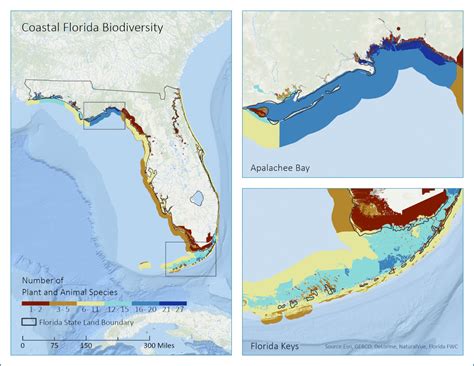 Create A Biodiversity Map Using Count Overlapping Features In Arcgis Pro
