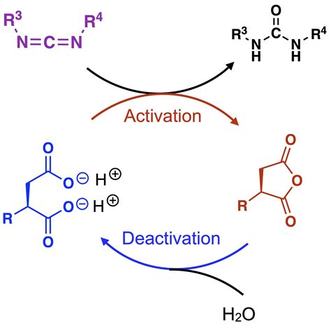 Chemically Fueled Self Assembly Boekhovenlab
