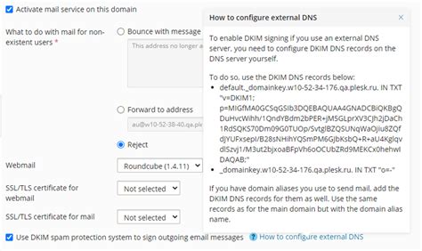 How To Get The Dkim Public Key From Plesk If Dns Is Not Installed Plesk