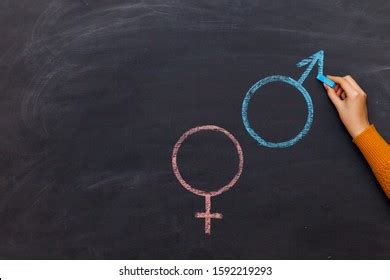 Gender Symbols Signs Male Female Sex Stock Photo Shutterstock