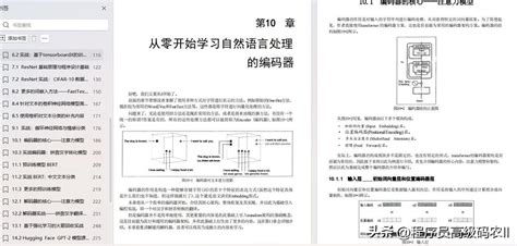 终于有人从零到精通开始教大模型开发了！基于pytorch与chatglm python 程序员高级码农 infoq写作社区
