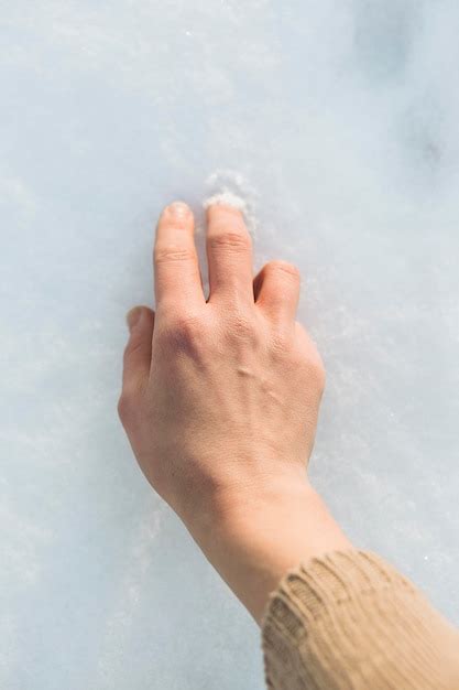 Hand Koelen Afbeeldingen Gratis Downloaden Op Freepik