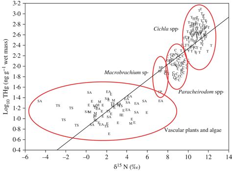 Biomagnification Mercury